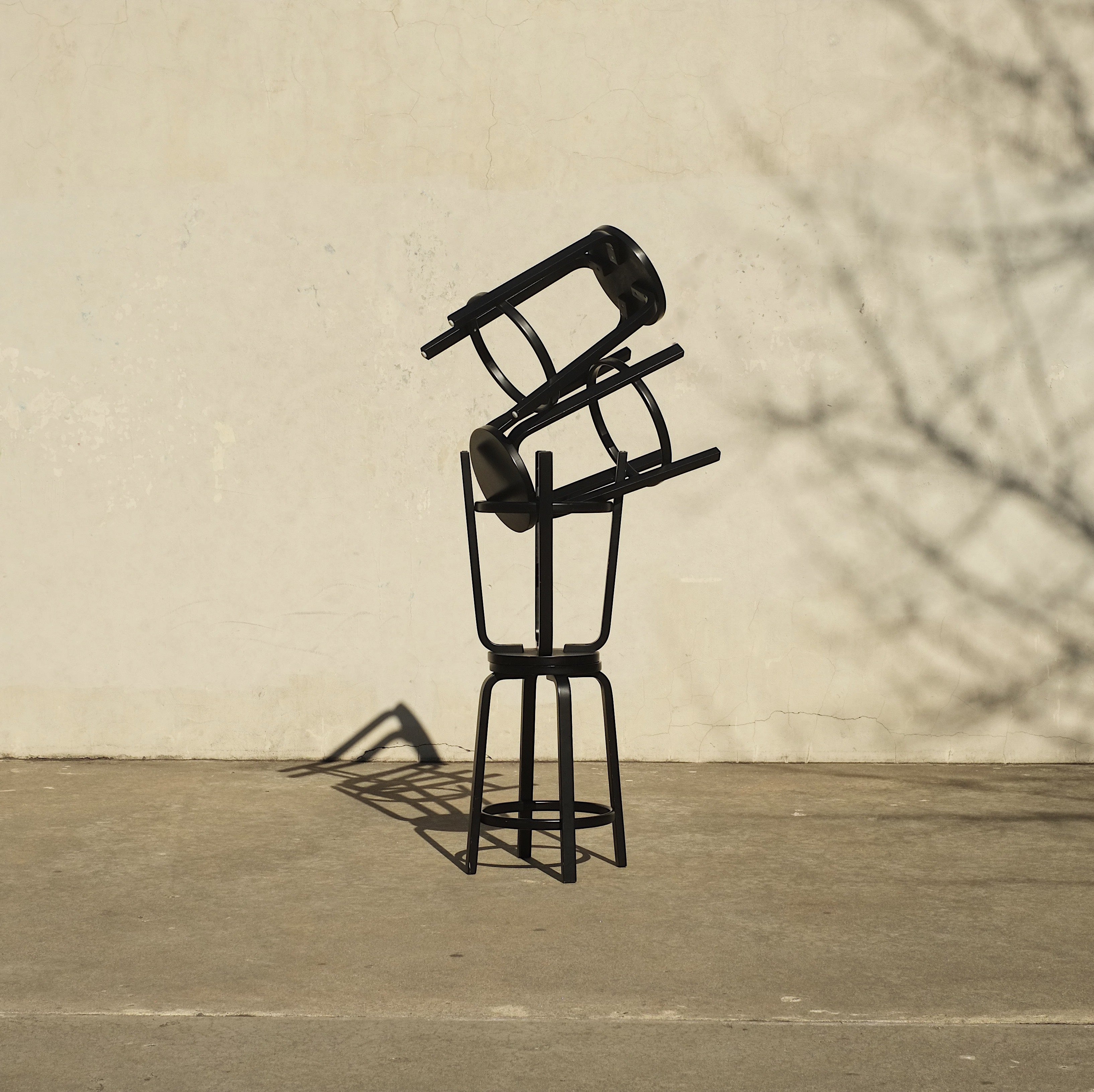 Lichen Forum (Beta) - lichennyc