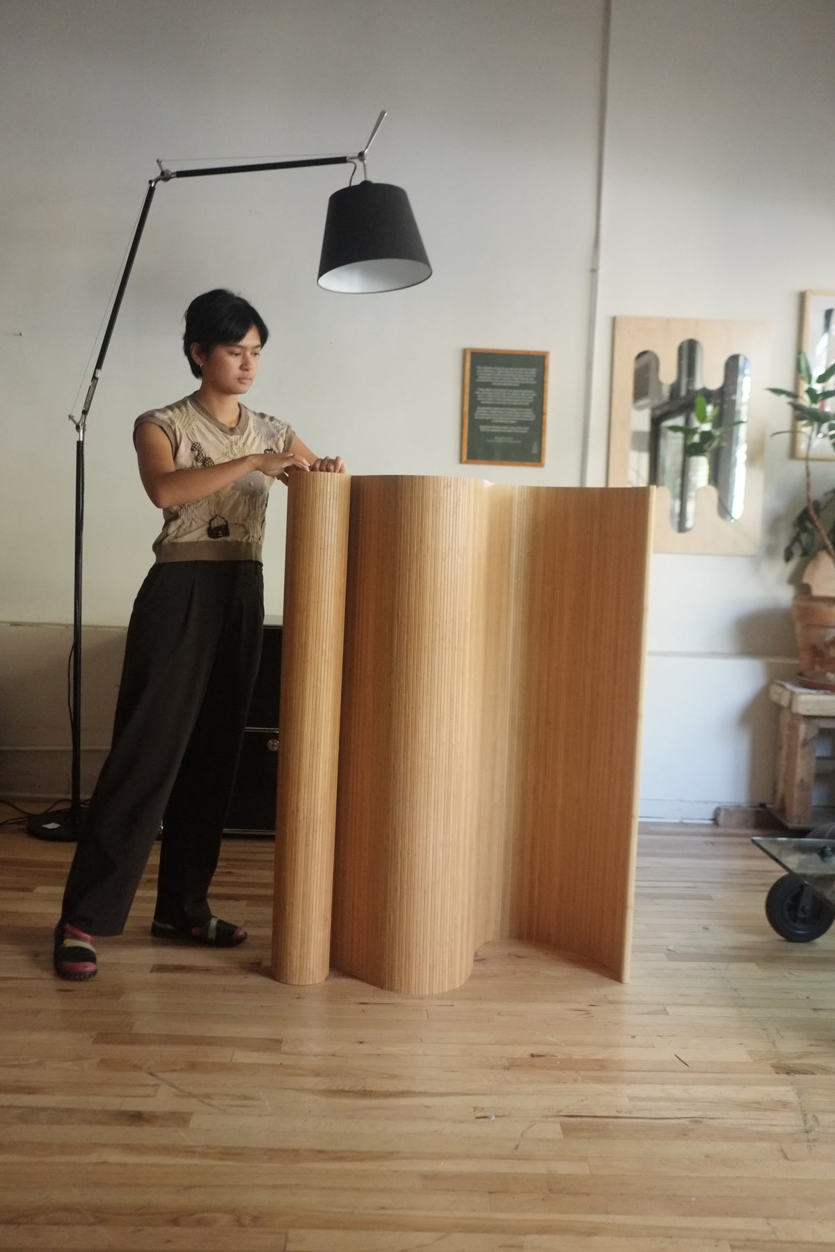 Bamboo Room Divider in NATURAL - lichennyc