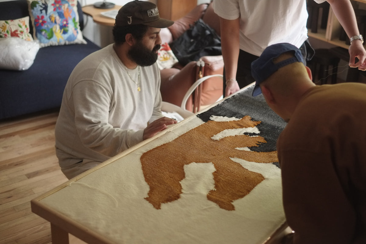 Projects - lichennyc