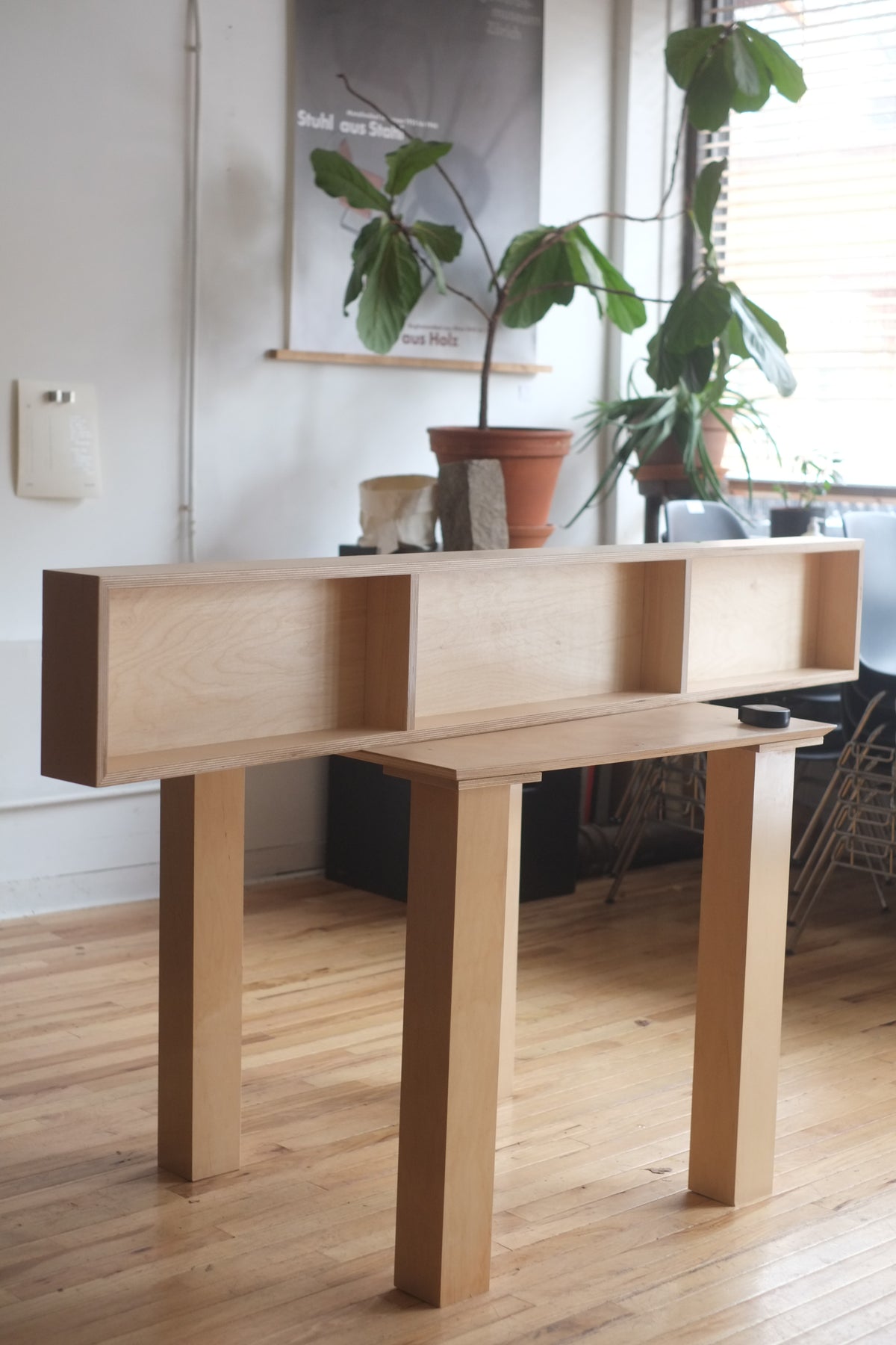 Shallow Wall Shelf - lichennyc