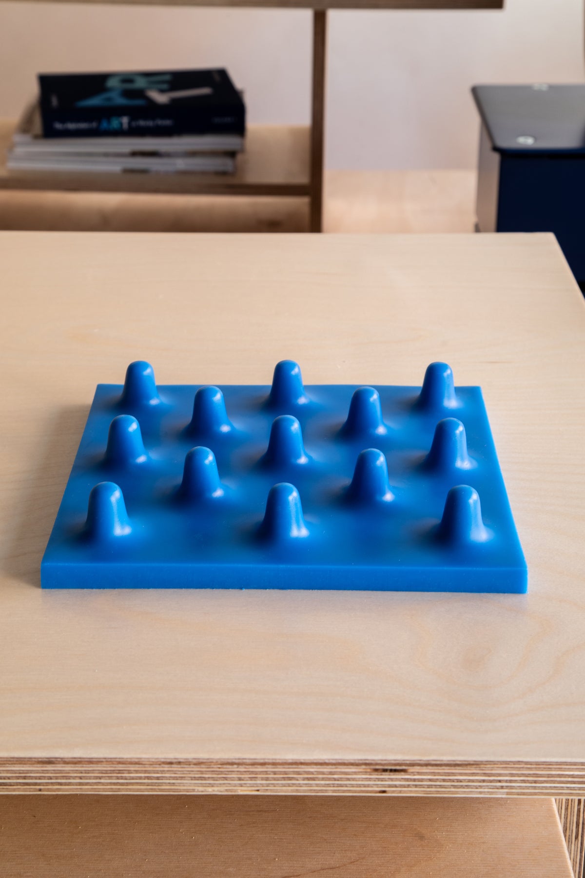 Lichen x Warby Parker Eyeware Tray - lichennyc